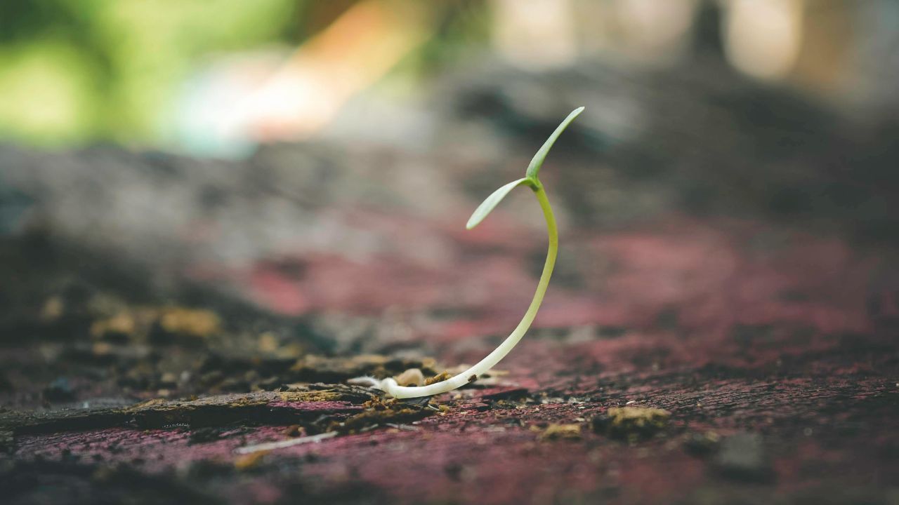 Life Before and After Drug Addiction - Texas Recovery Center